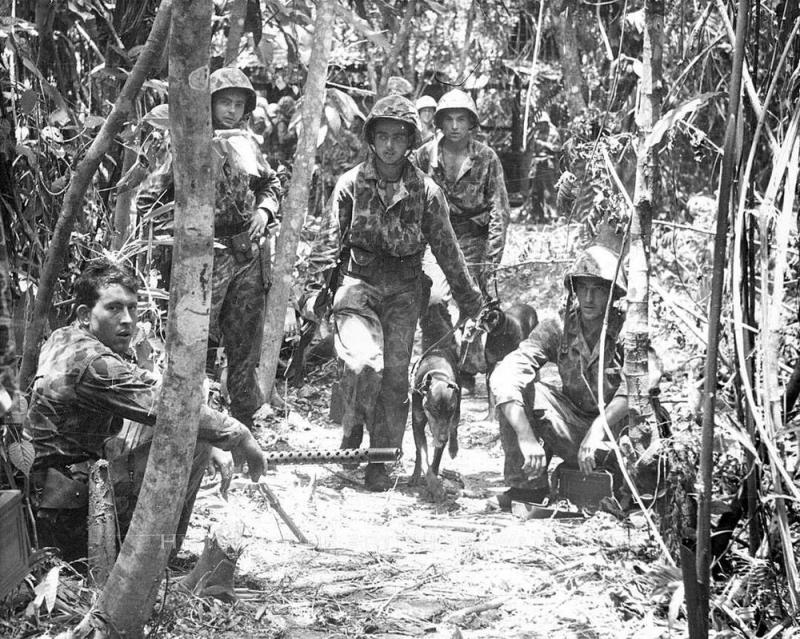 U.S. Marine Raider Legacy - Marine Raider Foundation